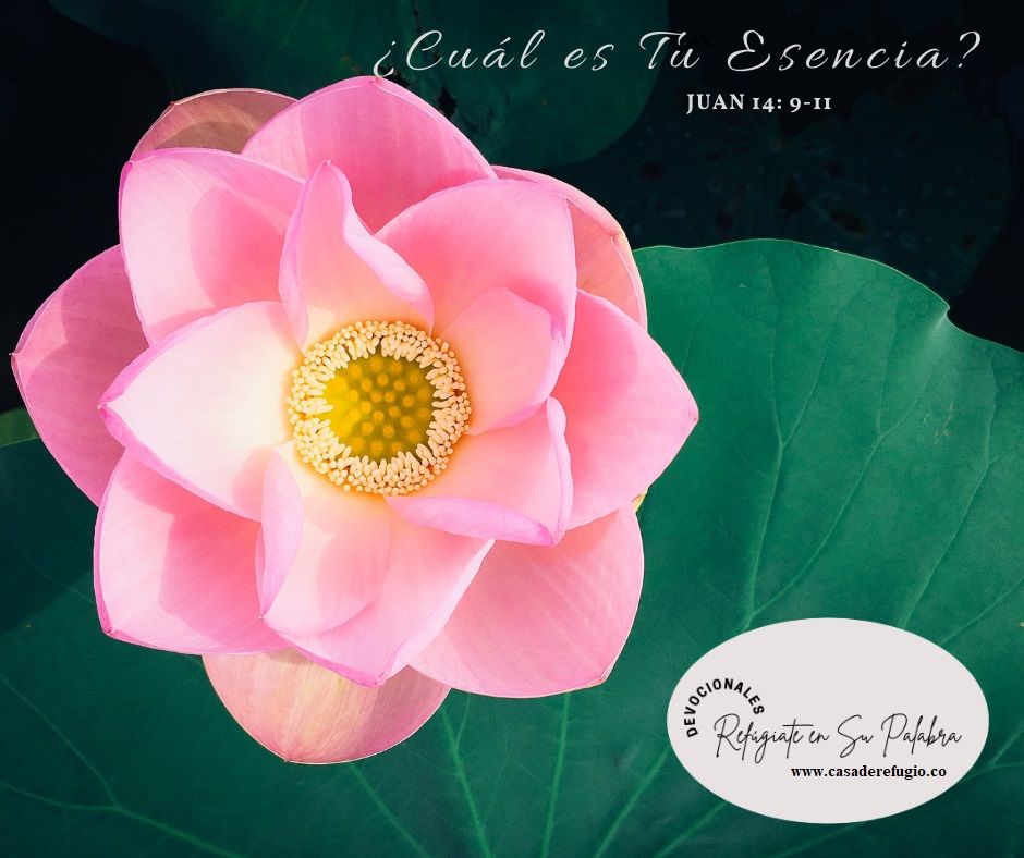 ¿Cuál es Tú Esencia? – Iglesia Cristiana Casa de Refugio