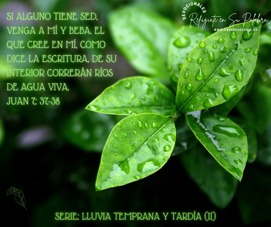 Lluvia Temprana y Tardía II – Iglesia Cristiana Casa de Refugio